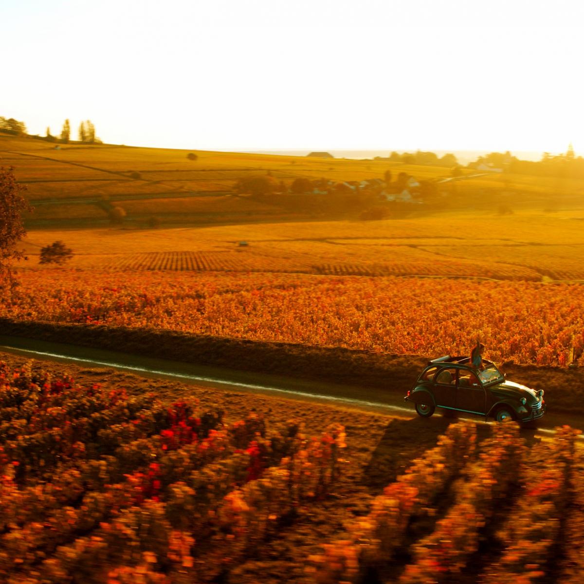 Beaune Burgundy in all seasons | Beaune and the Beaune region Tourism ...