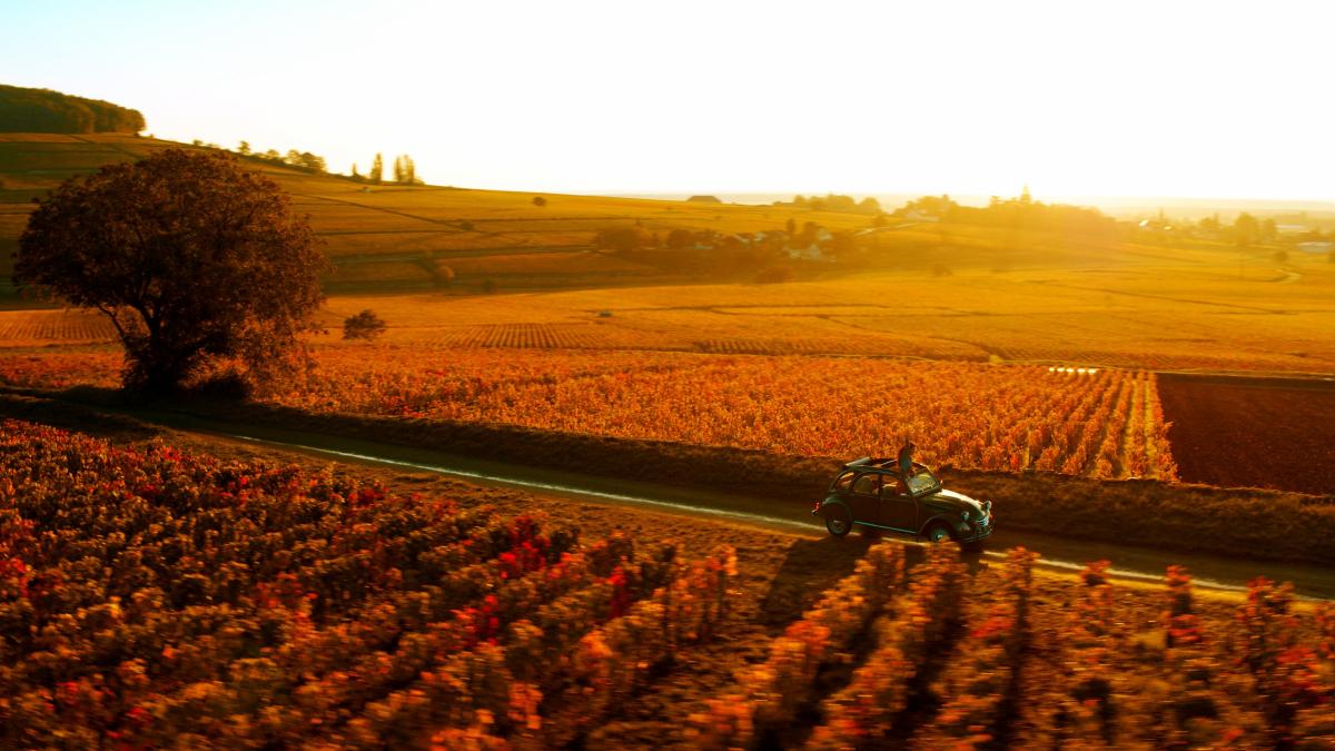 Beaune and the Beaune region Tourism – Burgundy