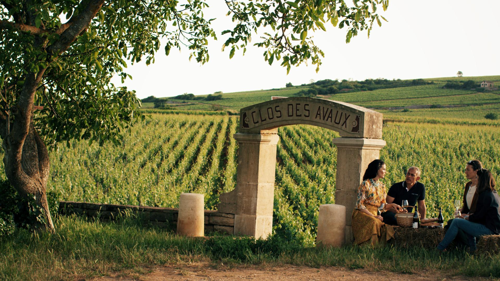 BEAUNE | Beaune and the Beaune region Tourism – Burgundy
