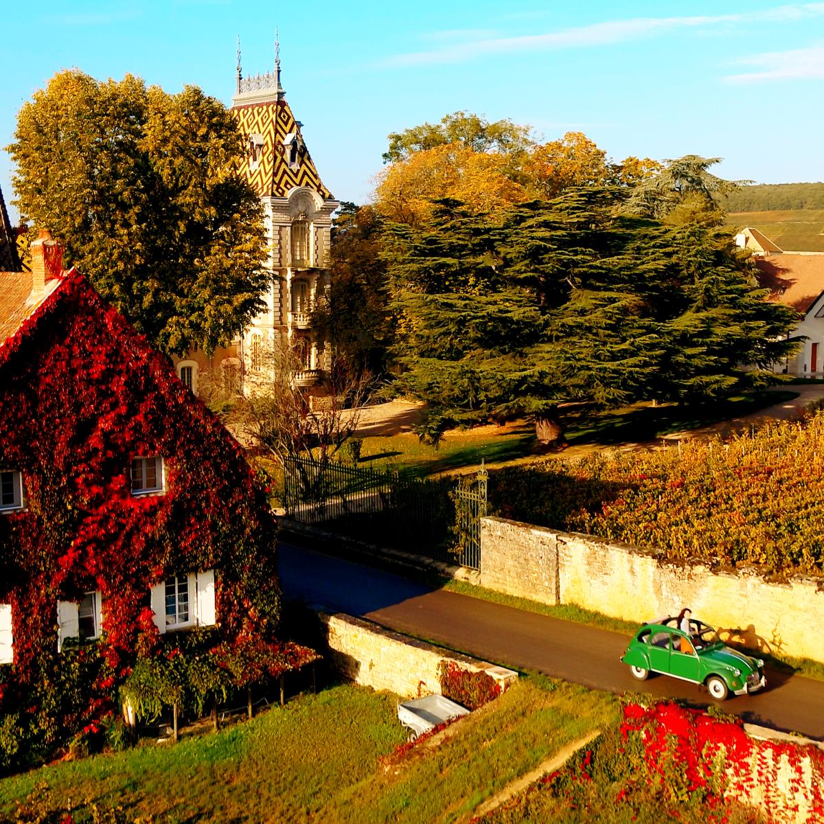Near Savigny-lès-Beaune | Beaune and the Beaune region Tourism – Burgundy
