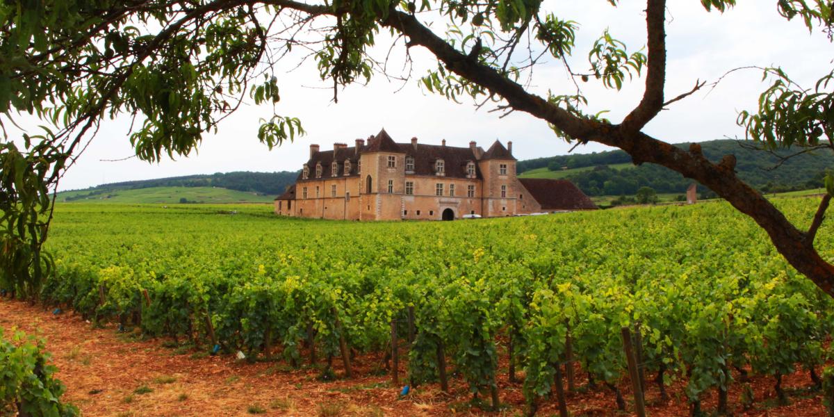 CHATEAU DU CLOS DE VOUGEOT | Beaune e a região de Beaune Turismo – Borgonha