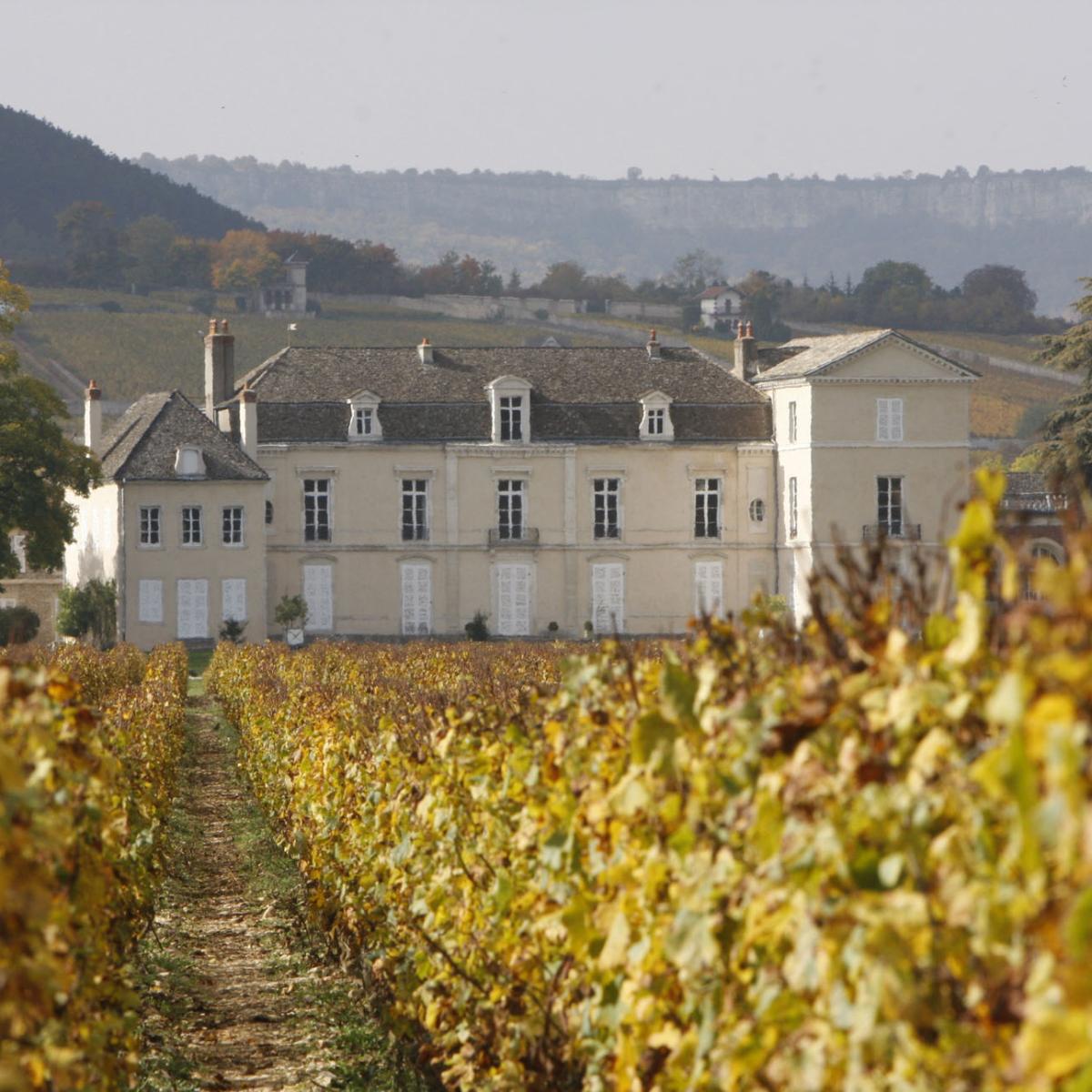 Appellation Meursault | Beaune and the Beaune region Tourism – Burgundy