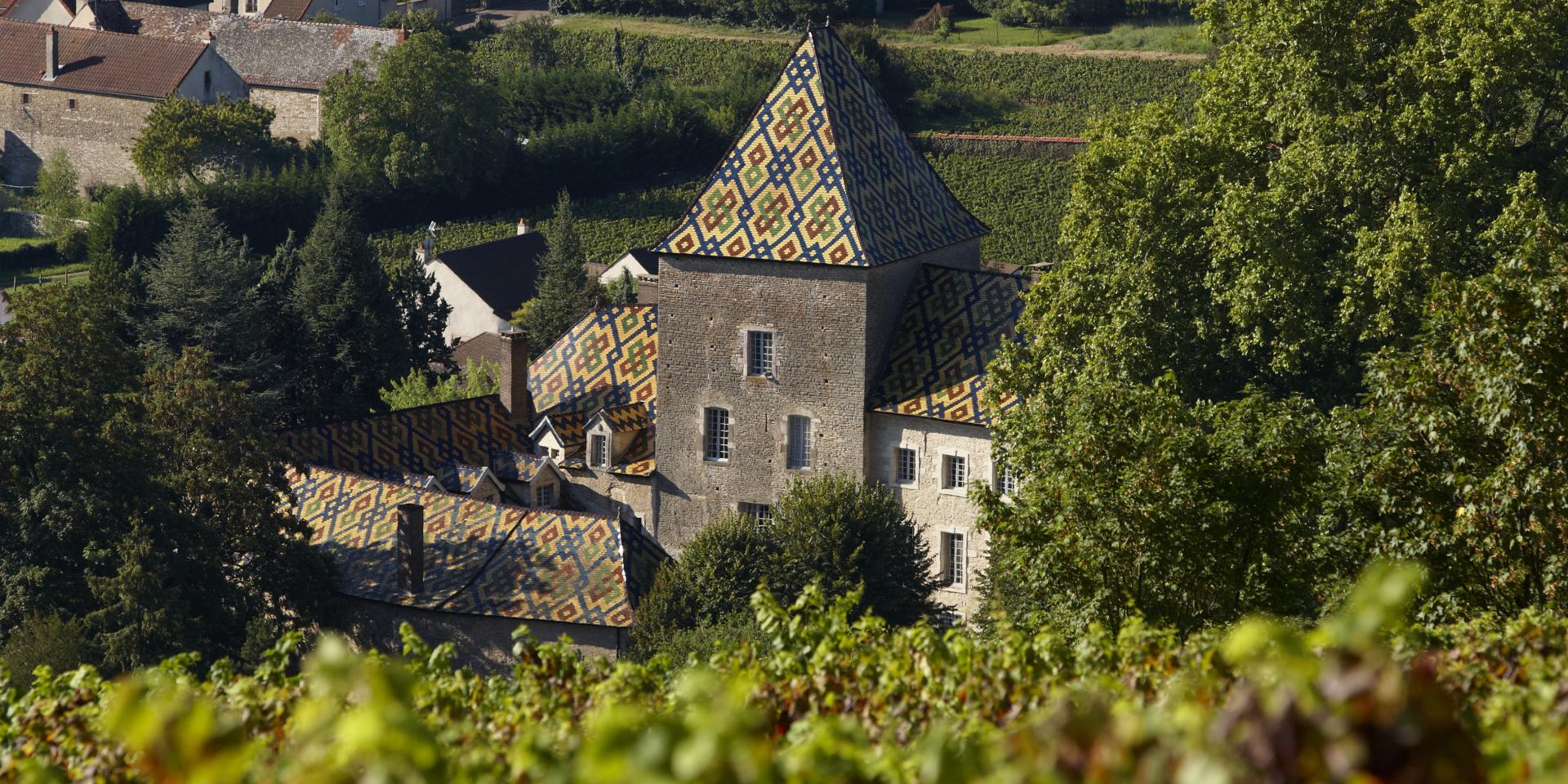 Castle Wine tasting | Beaune and the Beaune region Tourism – Burgundy