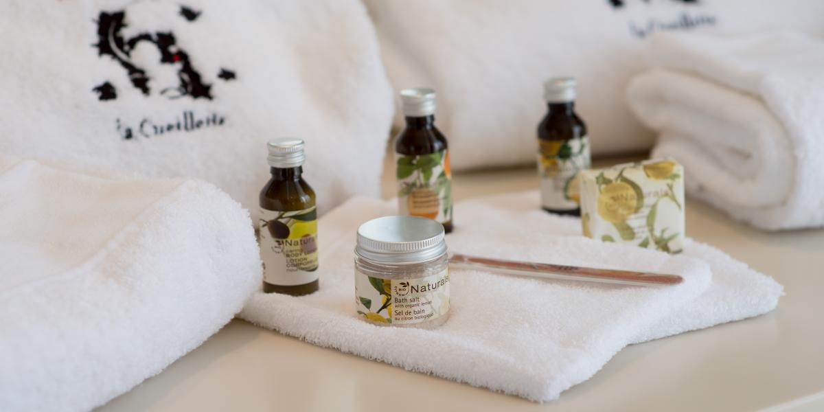 Your stay at the hotel in the heart of the vineyards | Beaune and the ...