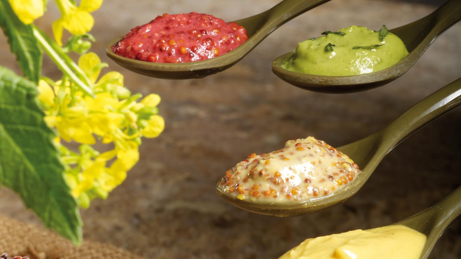 Une journée à Beaune | Beaune et le Pays Beaunois Tourisme – Bourgogne