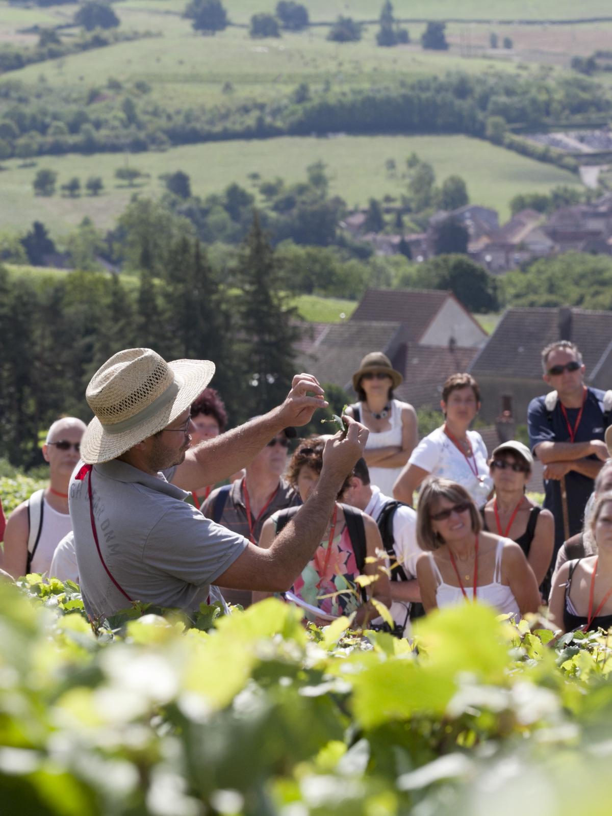 To see and do | Beaune and the Beaune region Tourism – Burgundy