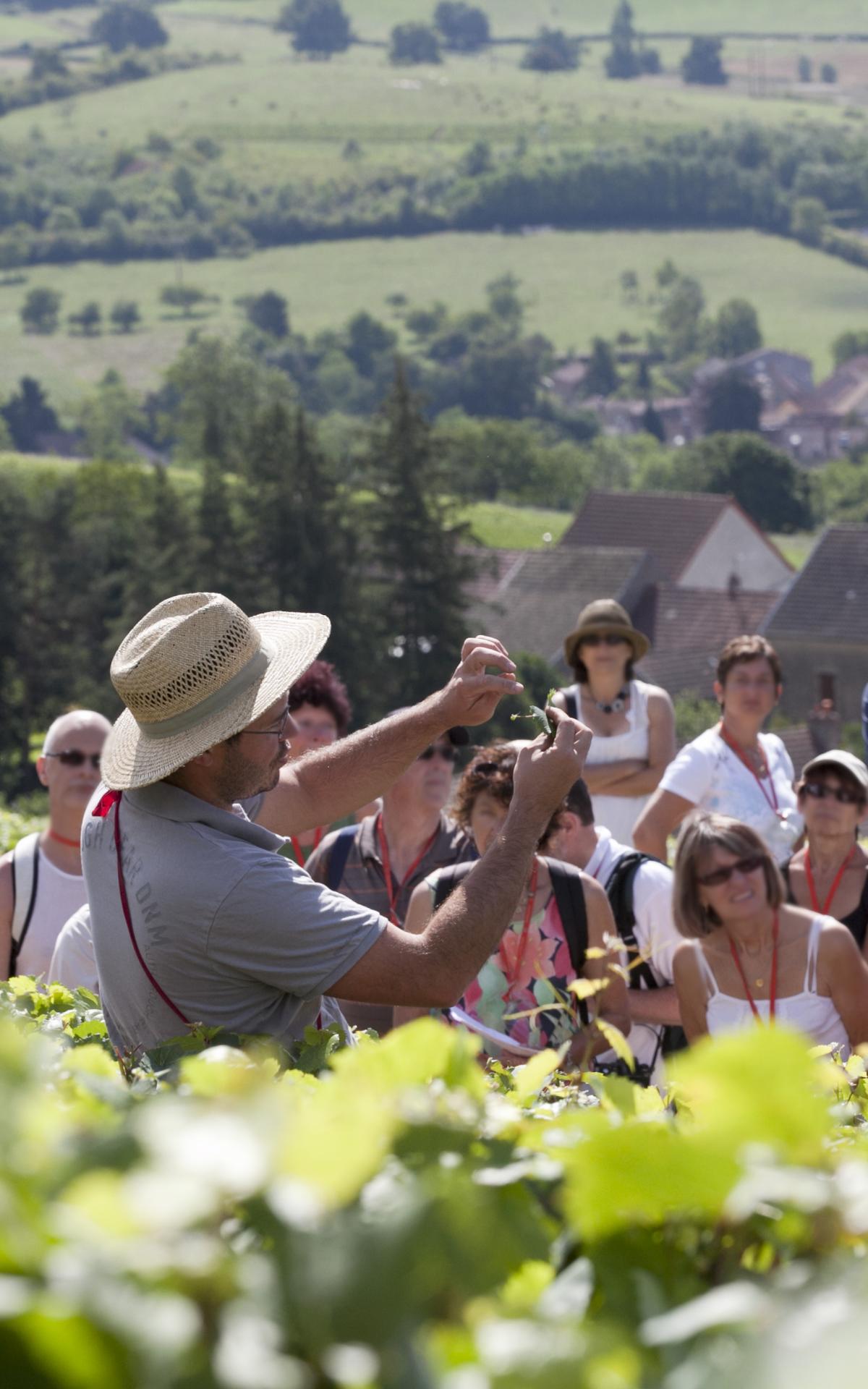Wine tourism experience | Beaune and the Beaune region Tourism – Burgundy