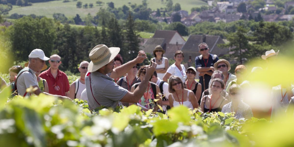 Guided tours to take this summer | Beaune and the Beaune region Tourism ...
