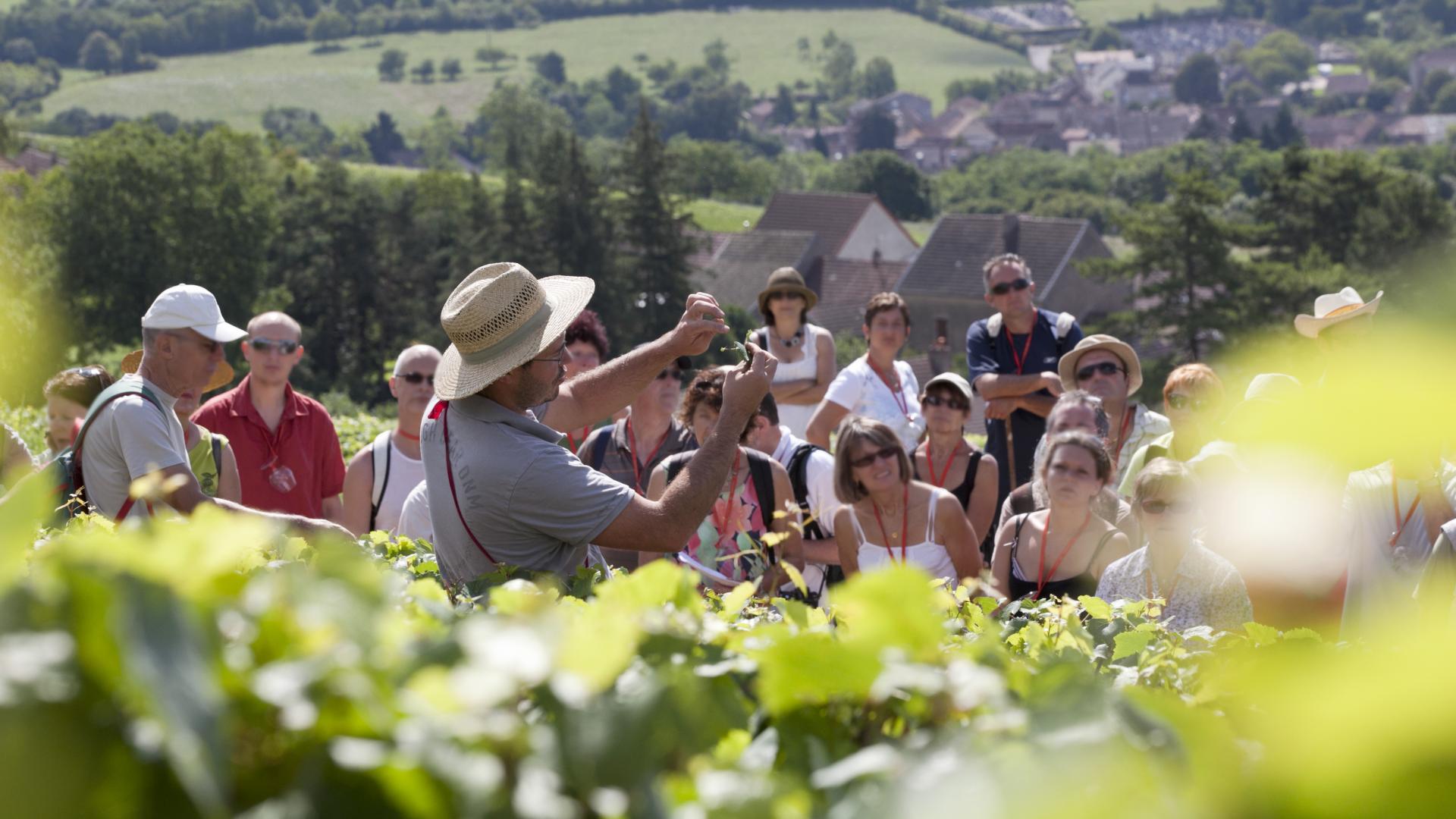 Explore | Beaune and the Beaune region Tourism – Burgundy