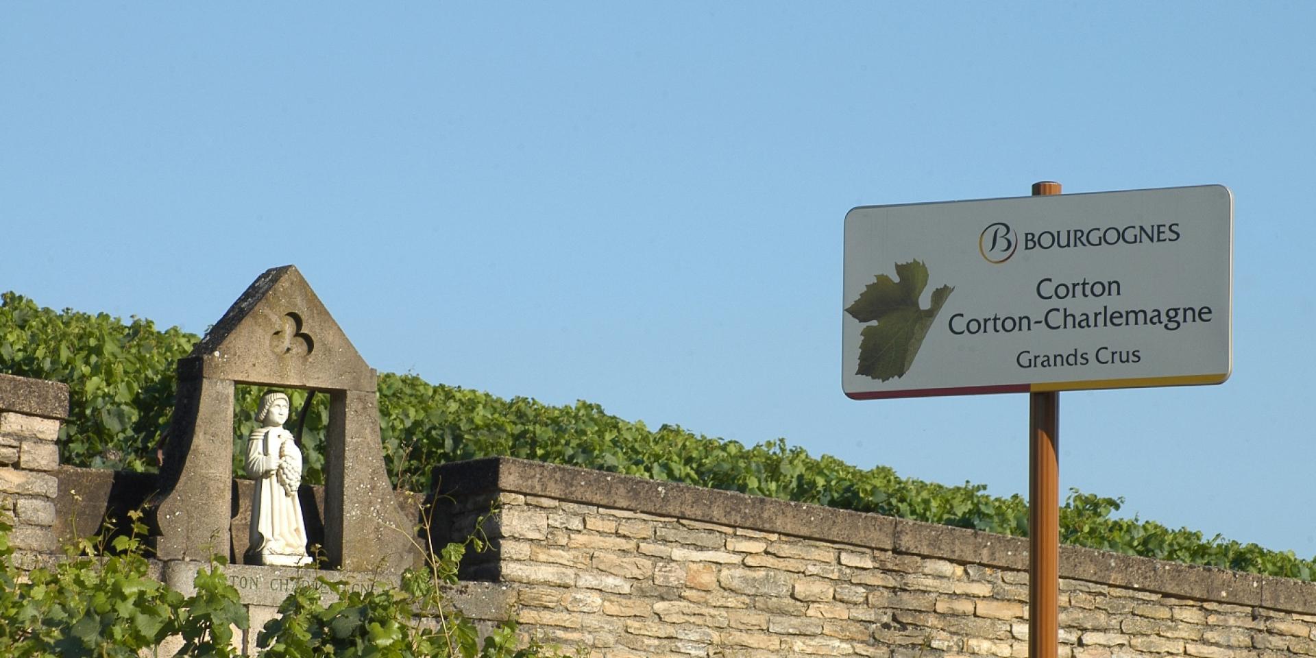Appellation Corton | Beaune et le Pays Beaunois Tourisme – Bourgogne