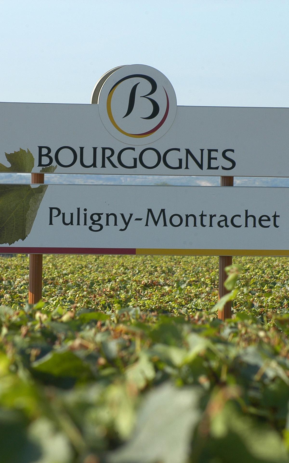 PULIGNY-MONTRACHET | Turismo en Beaune y su región – Borgoña