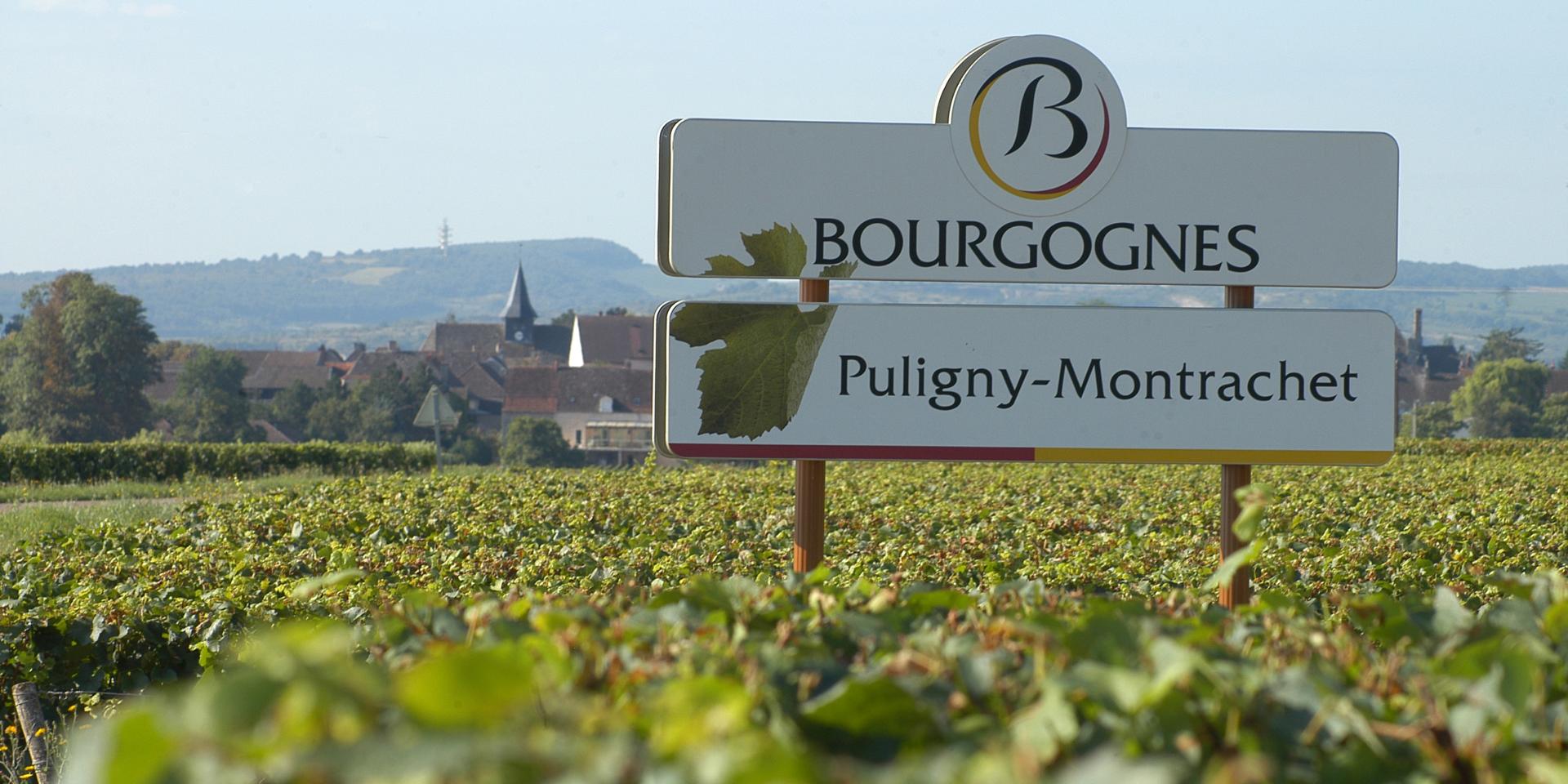 Top 5 des activités insolites autour de Beaune | Beaune et le Pays ...