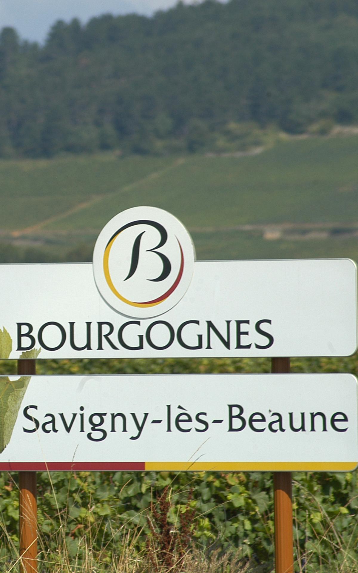 Major wine events | Beaune and the Beaune region Tourism – Burgundy