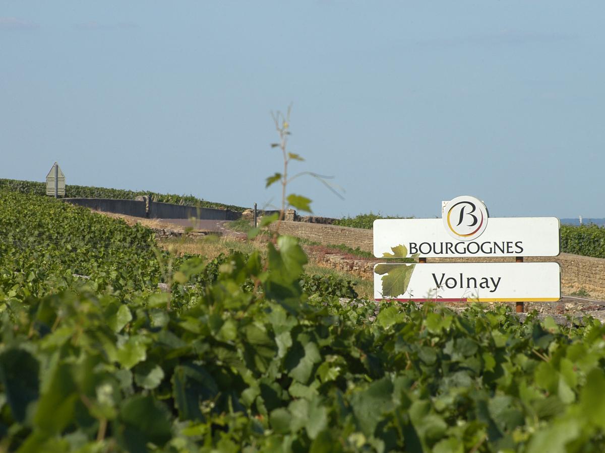 VOLNAY | Beaune and the Beaune region Tourism – Burgundy