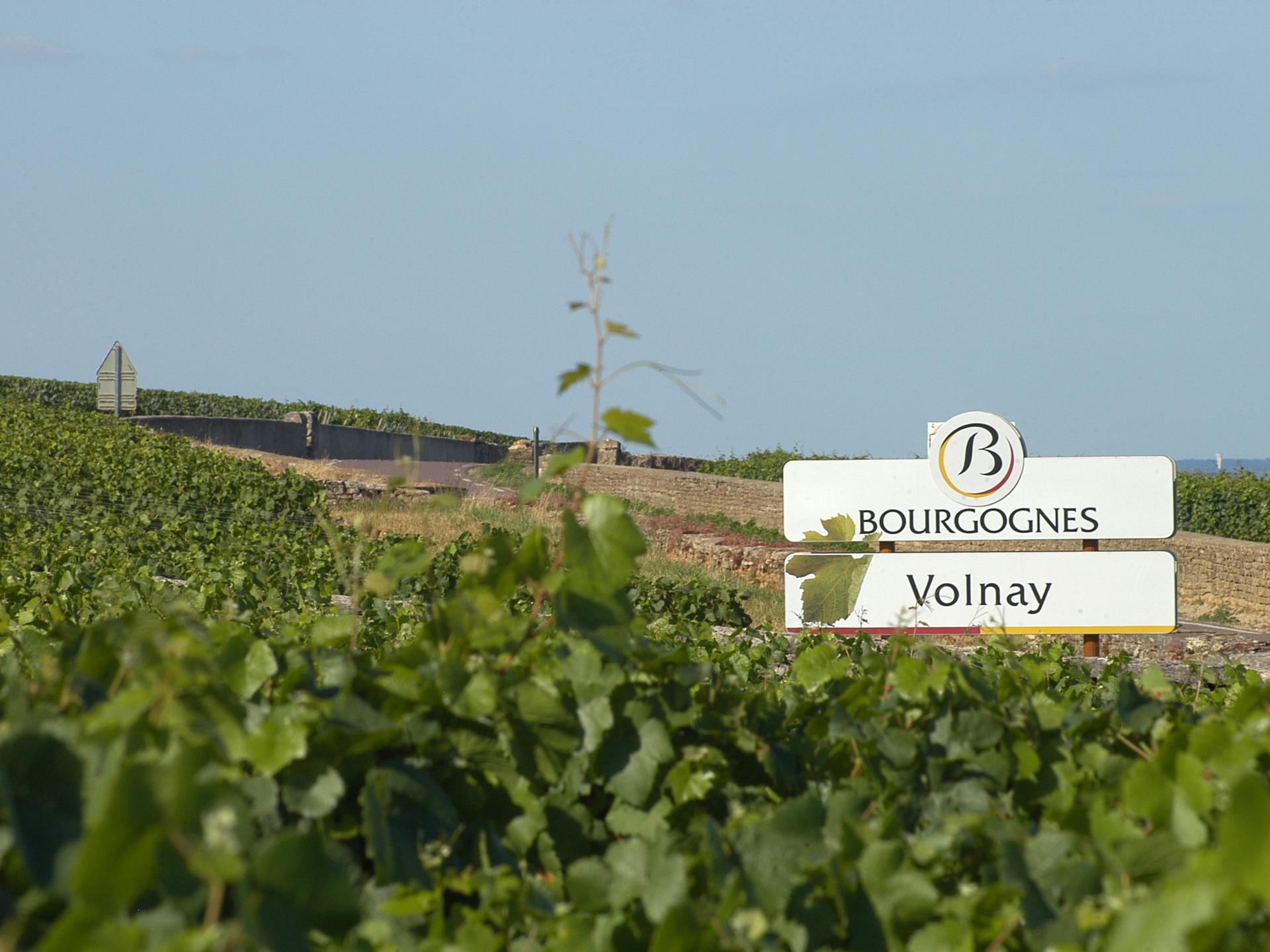 VOLNAY | Beaune and the Beaune region Tourism – Burgundy