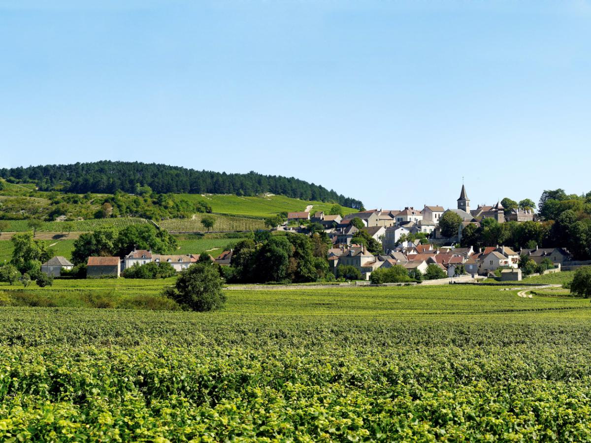 Villages around Beaune | Beaune and the Beaune region Tourism – Burgundy