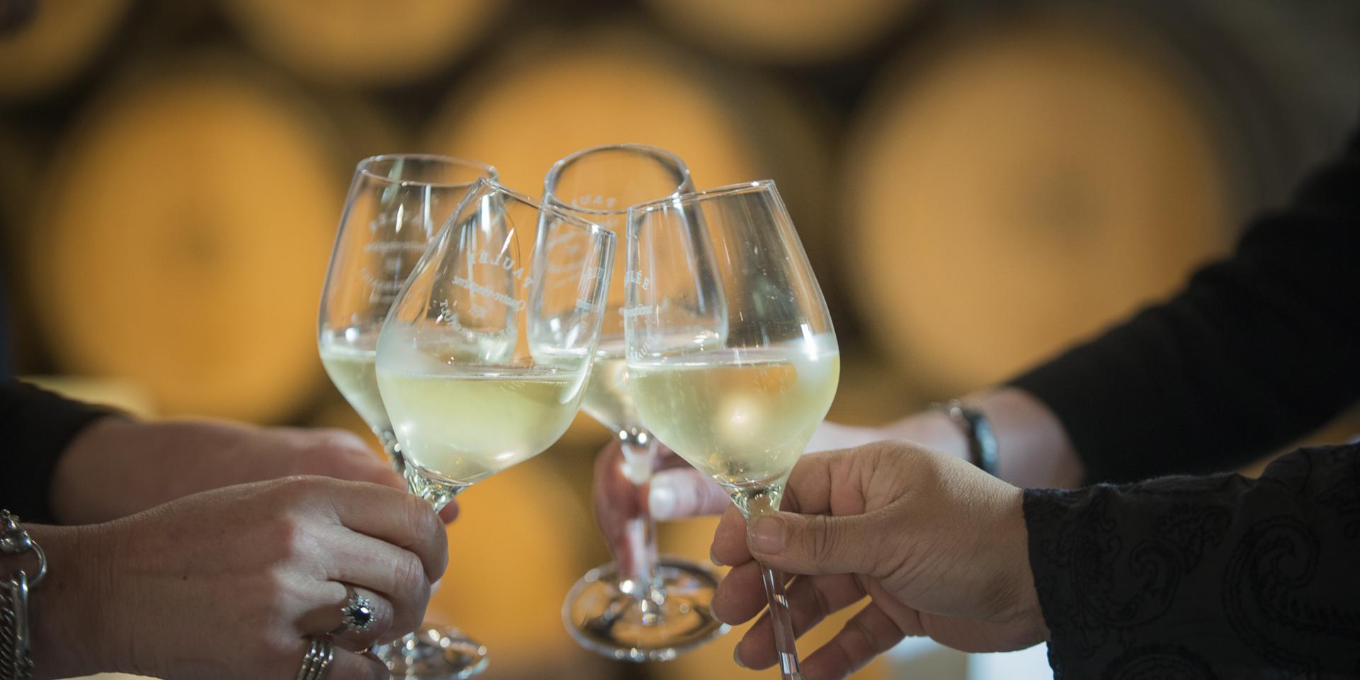 Bodegas y fincas | Turismo en Beaune y su región – Borgoña