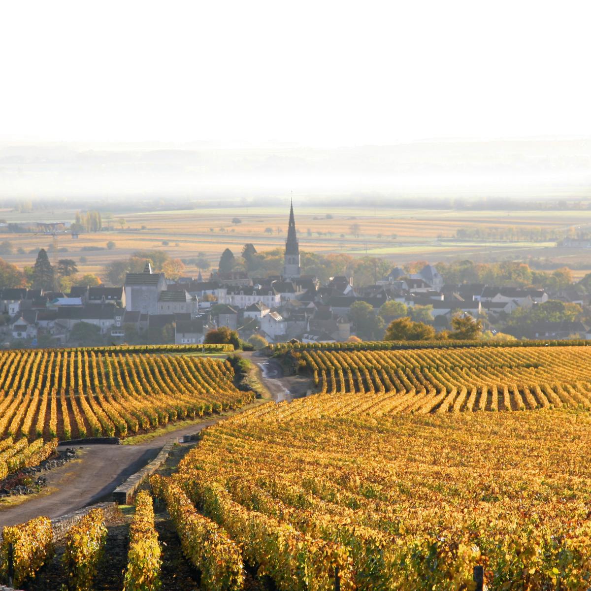 Fascinating Weekend in Beaune – Book your Wine Experience