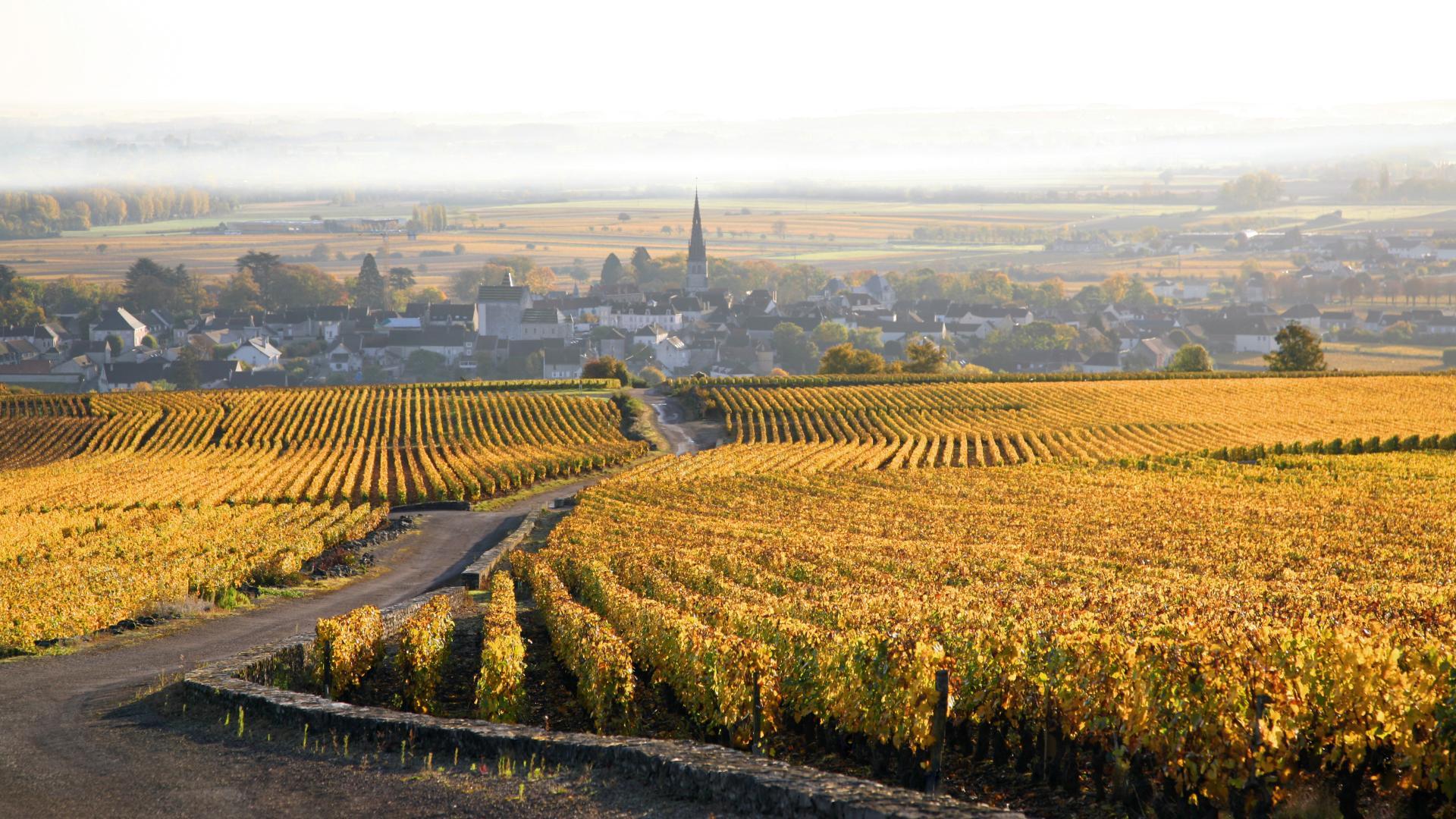 Explore | Beaune and the Beaune region Tourism – Burgundy