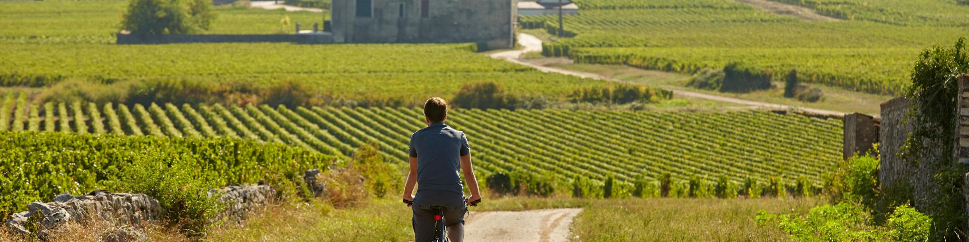 A trip along the Route des Grands Crus | Beaune and the Beaune region ...