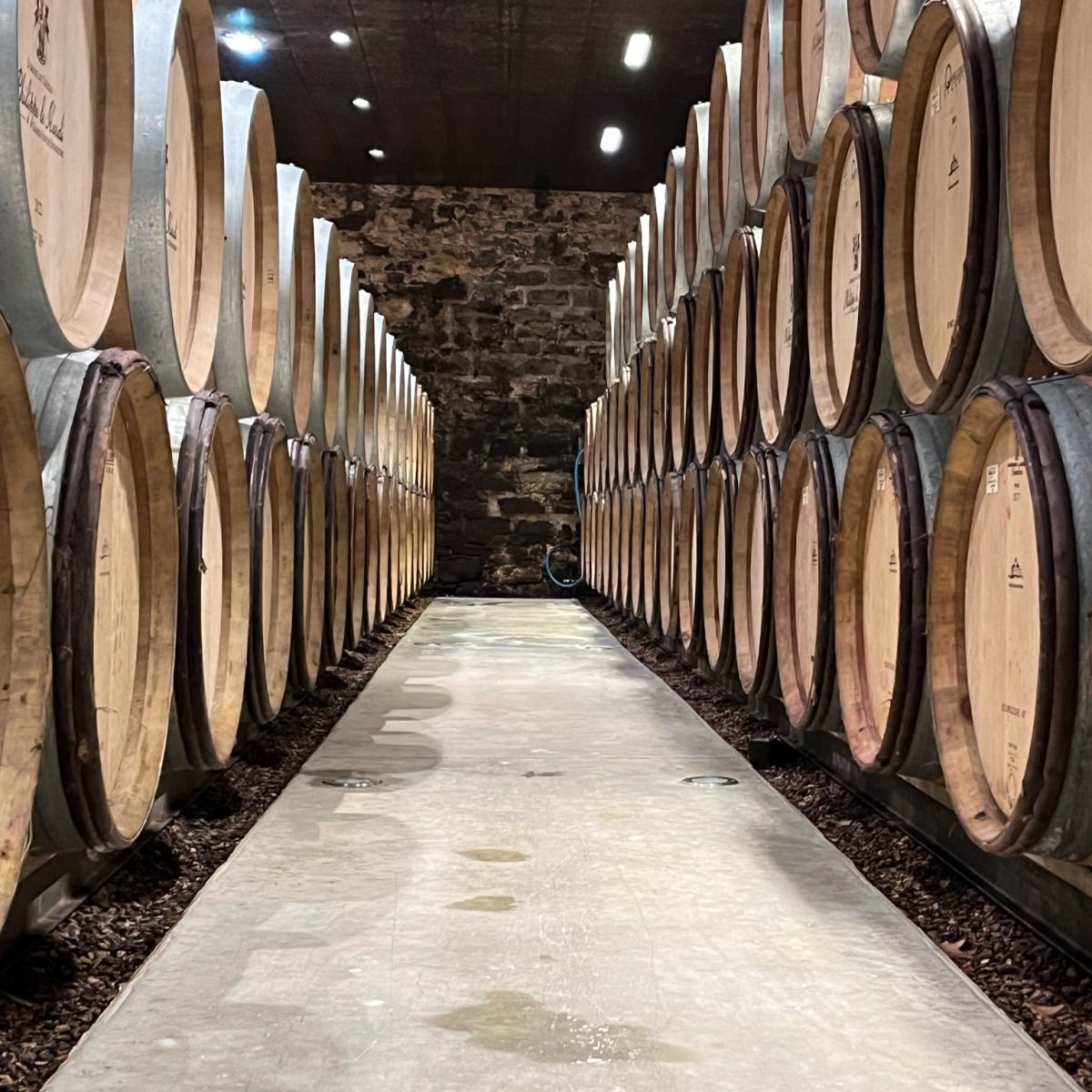 Santenay | Beaune et le Pays Beaunois Tourisme – Bourgogne