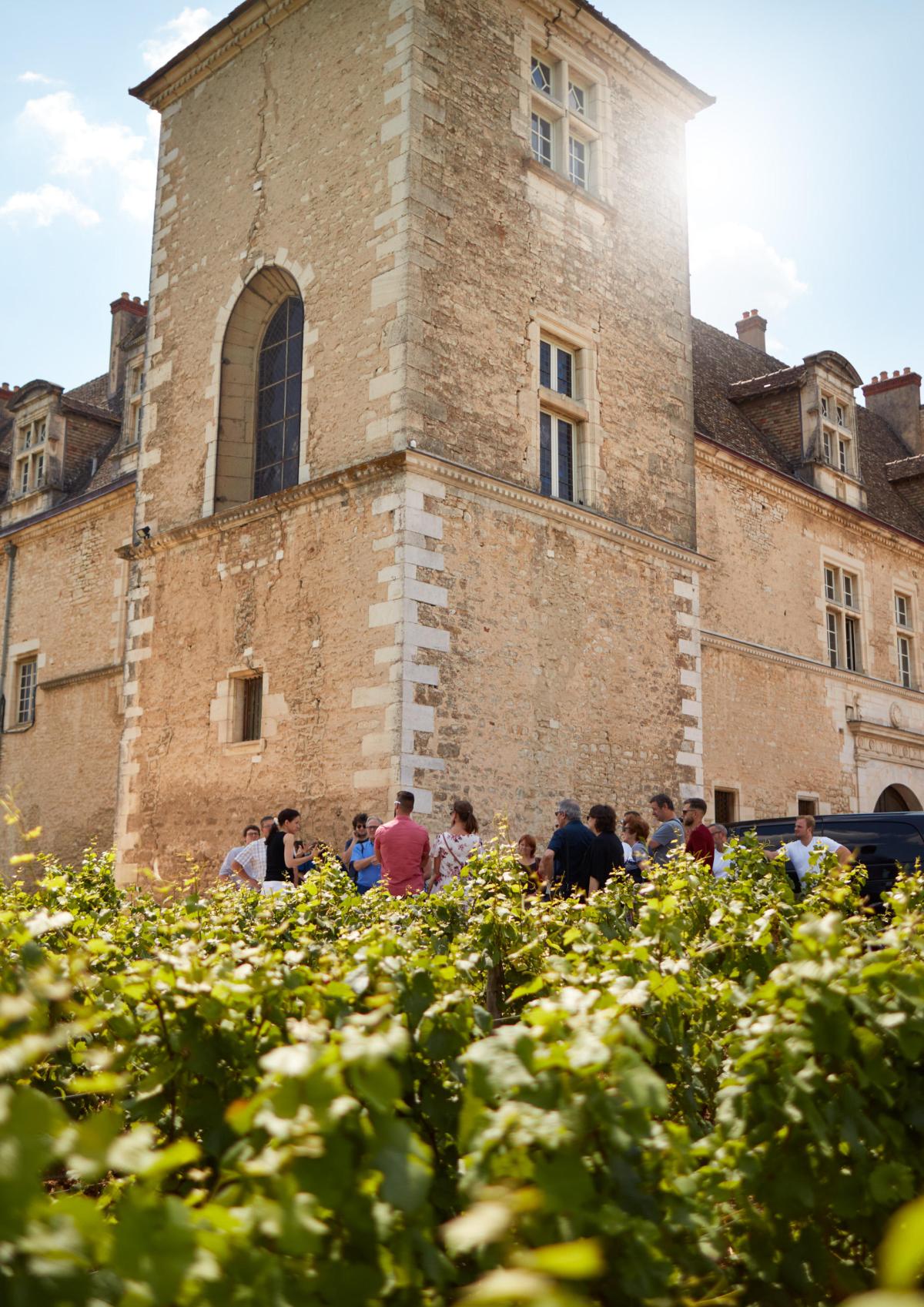 FAQ Route des Grands Crus | Beaune and the Beaune region Tourism – Burgundy