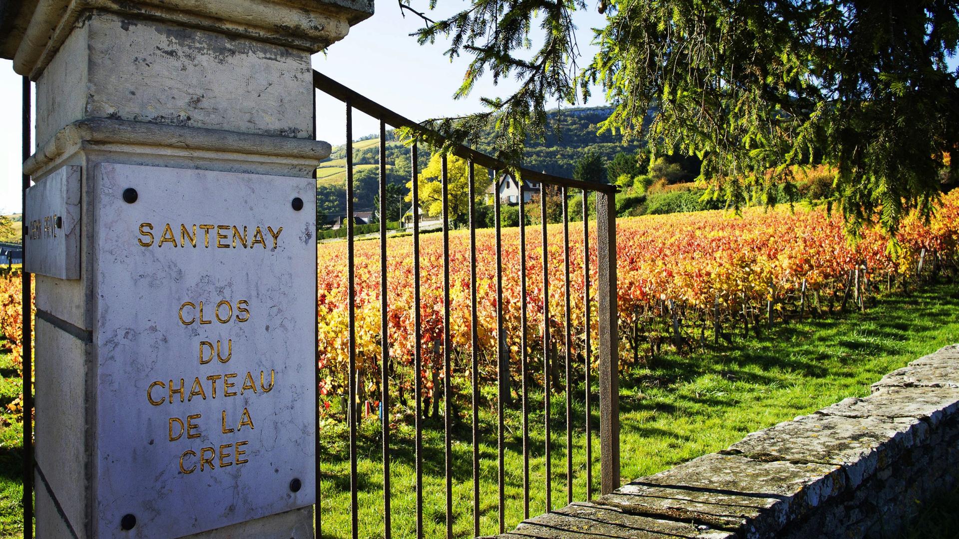 Denominação Clos de Vougeot | Beaune e a região de Beaune Turismo ...