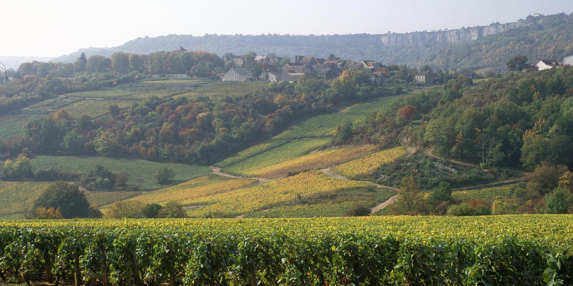 Getting to know the area | Beaune and the Beaune region Tourism – Burgundy