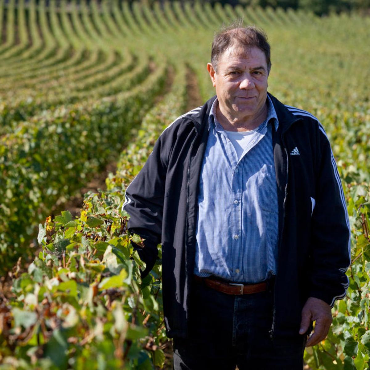 Greeters: free walking tour in Beaune and villages | Beaune and the ...