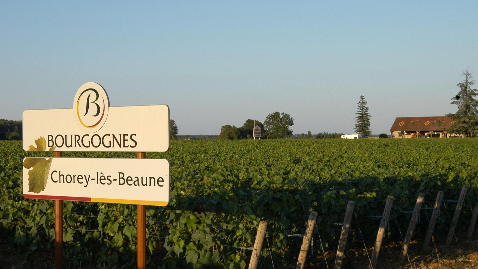 CHOREY-LES-BEAUNE | Toerisme in Beaune en de regio Beaune – Bourgondië