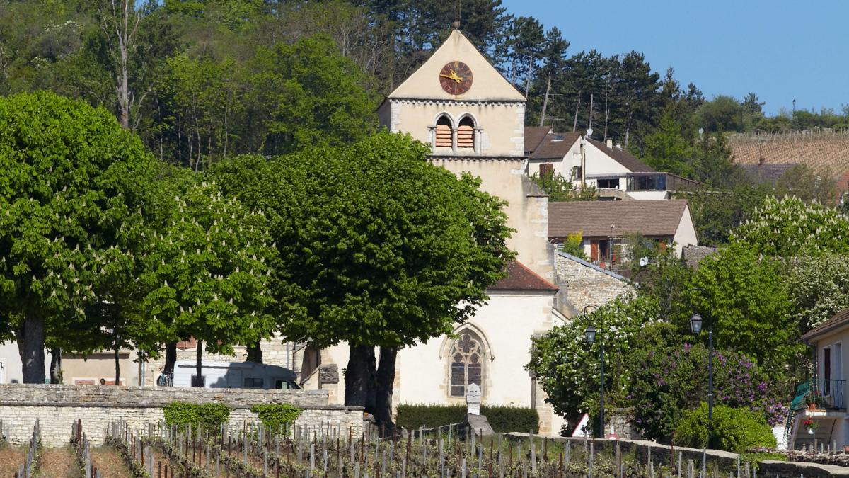 VOLNAY | Turismo en Beaune y su región – Borgoña