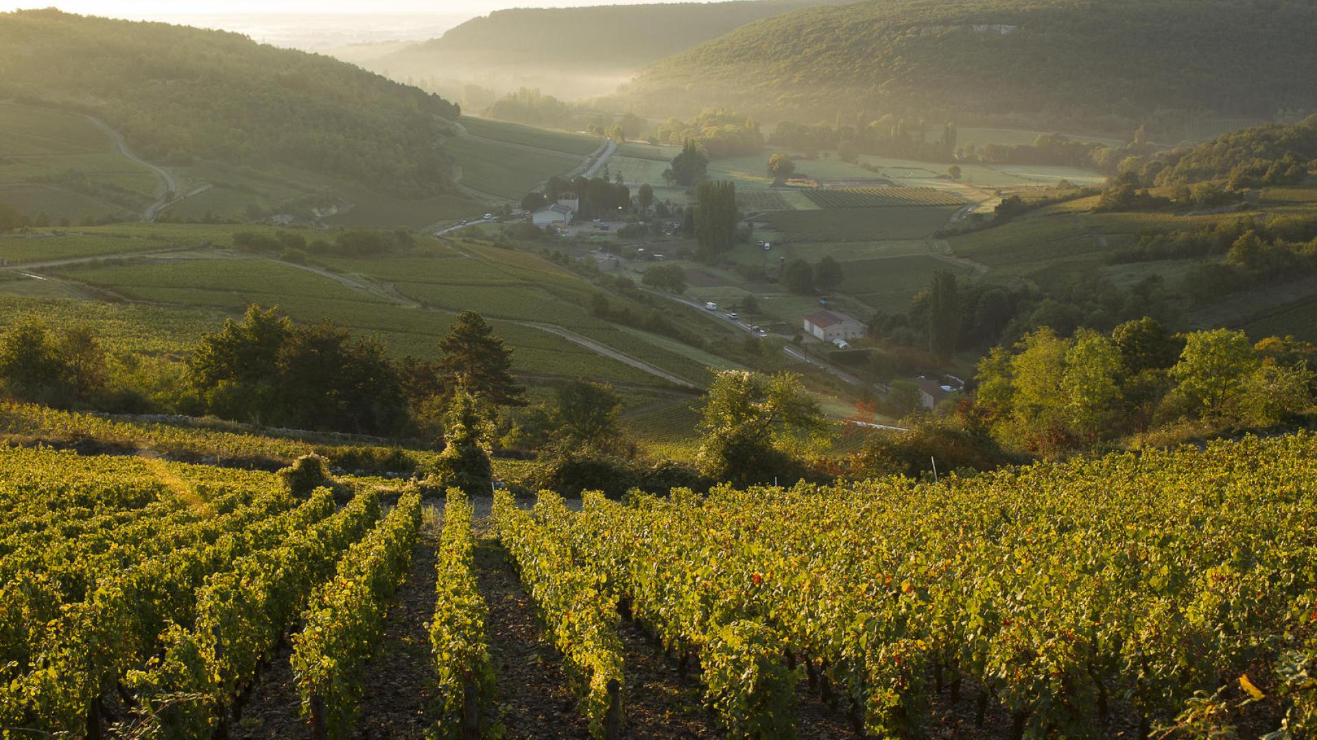 WORLD-CLASS DESTINATION | Beaune and the Beaune region Tourism – Burgundy