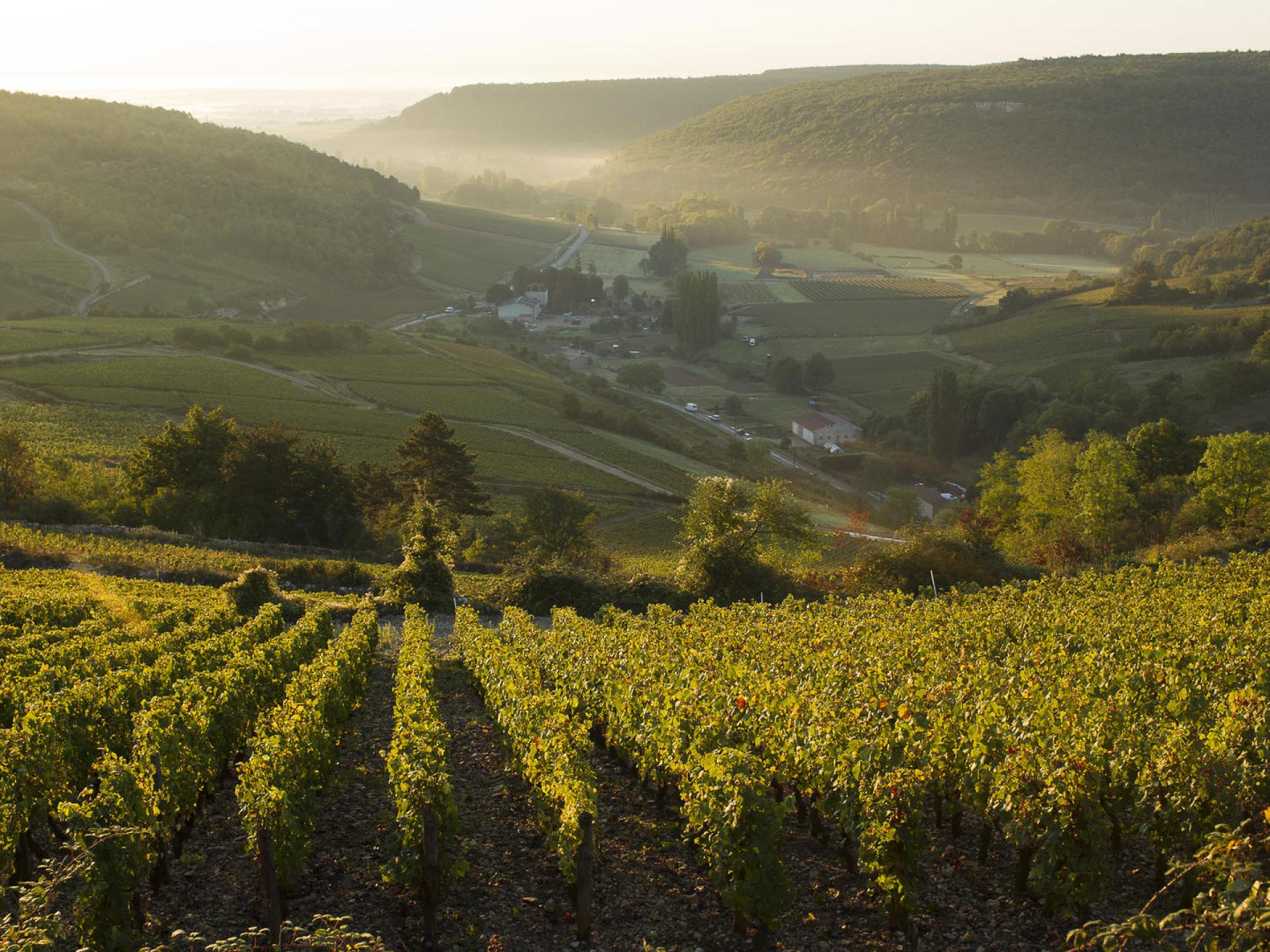 Book | Beaune and the Beaune region Tourism – Burgundy