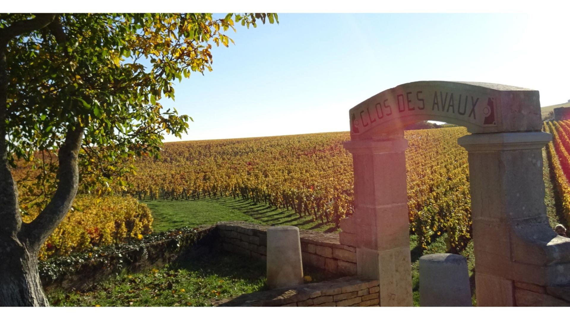 Groups | Beaune and the Beaune region Tourism – Burgundy